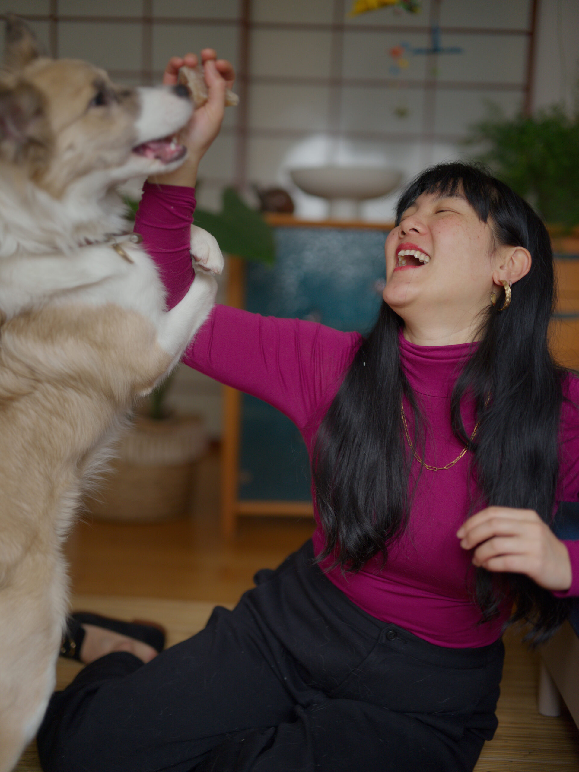 A Dog in Paris: what is it like? - a fab journey