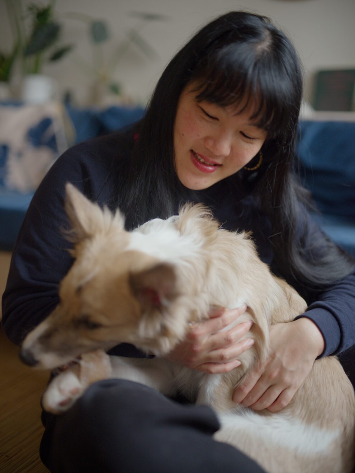 A Dog in Paris: what is it like? - a fab journey